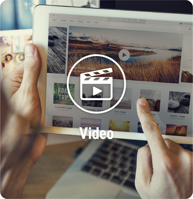 Advance Travel & Tourism